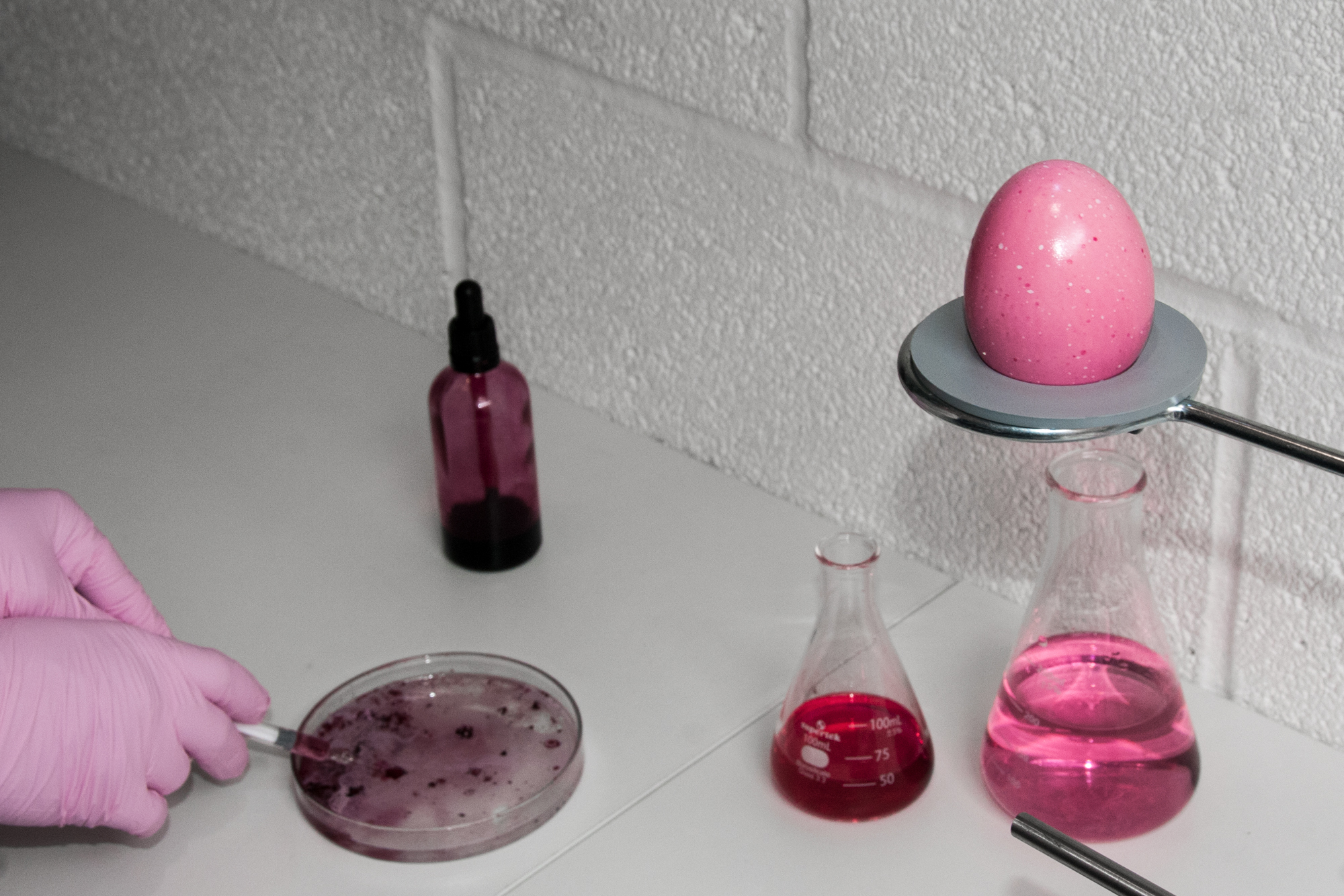 Pink Chicken Project | social design